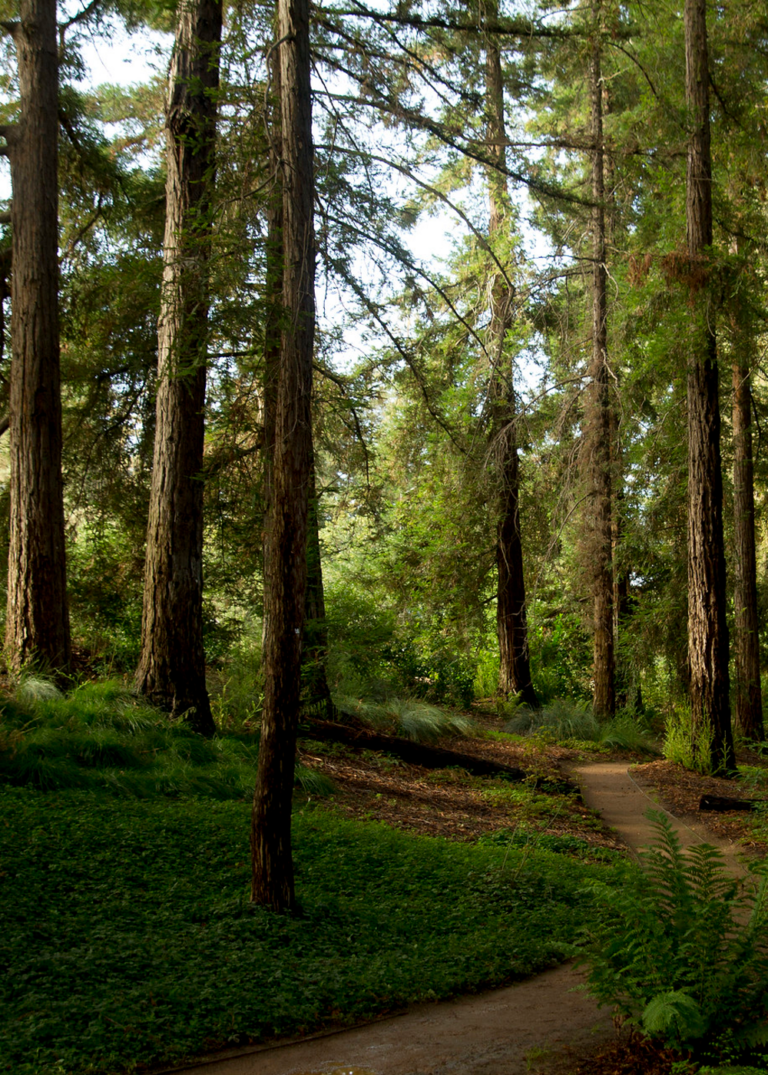 About - My Davis California - Life in Davis California